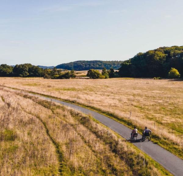 Oplevelser i Vejle | VisitVejle